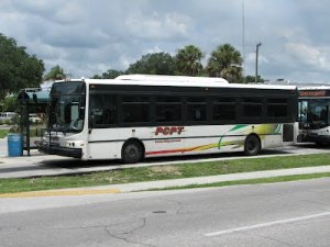 GoPasco – The Global Transit Guidebook