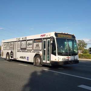 GoPasco – The Global Transit Guidebook