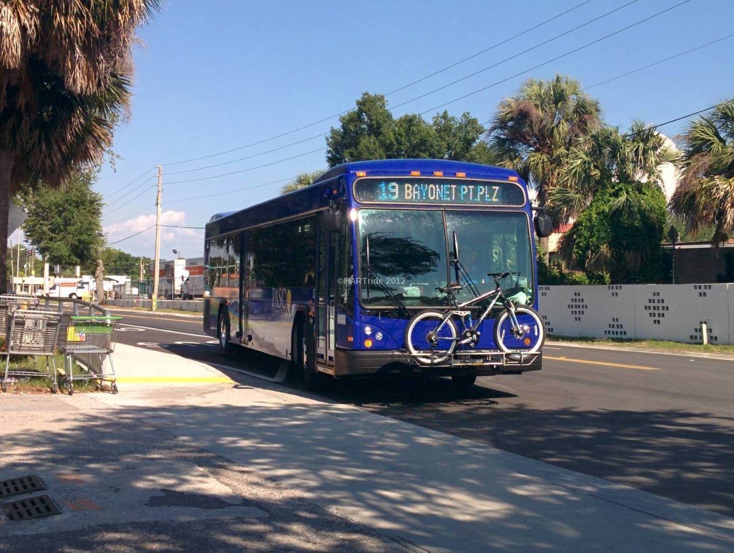 GoPasco – The Global Transit Guidebook