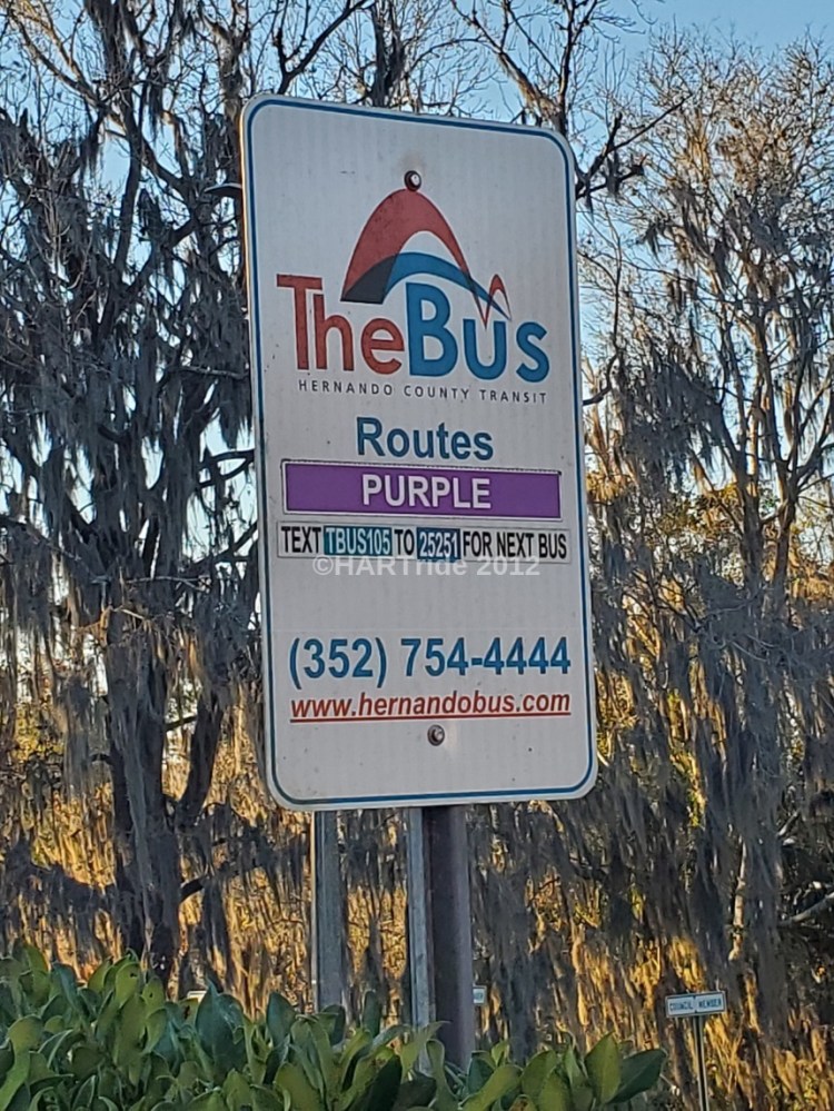 Hernando Bus – The Global Transit Guidebook